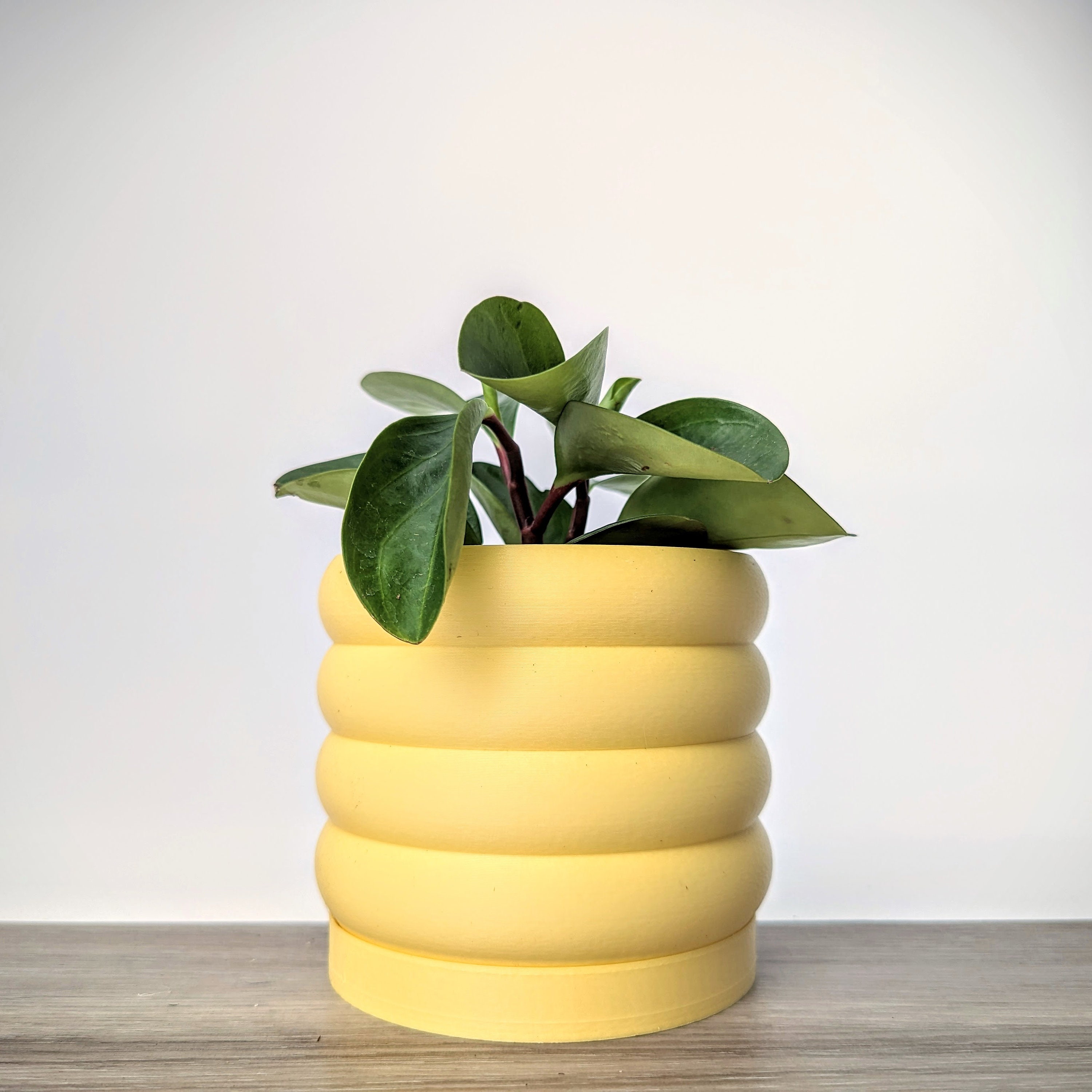 Light Pastel Yellow Planter, Bubble Plant Pot With Drain Tray - Etsy