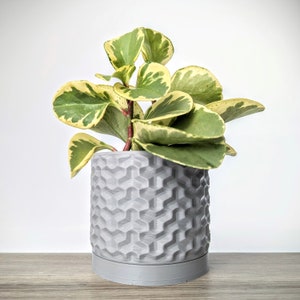Light Gray Planter, Geometric Plant Pot With Drain Tray, Apartment Home ...