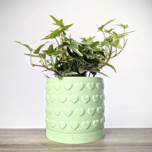 Light Pastel Green Pot, Heart Pattern Planter With Drainage, Made From ...