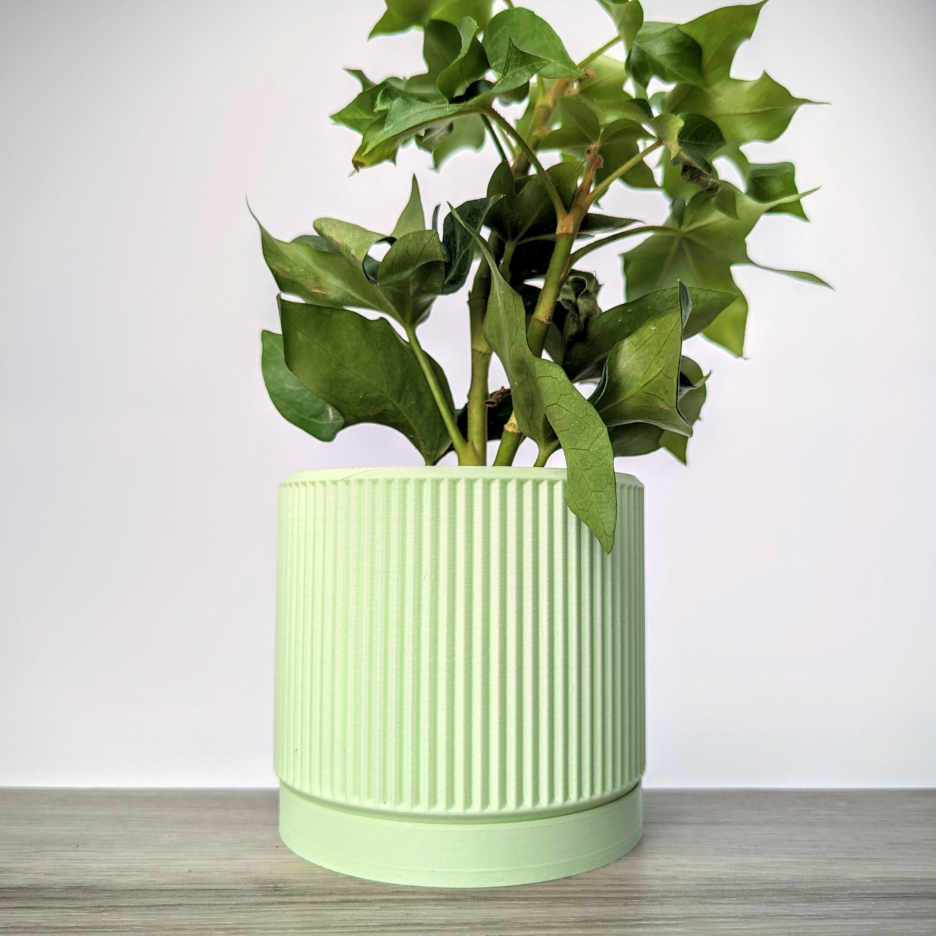 Light Pastel Green Plant Pot, Fin Planter With Drain Tray, Colorful ...