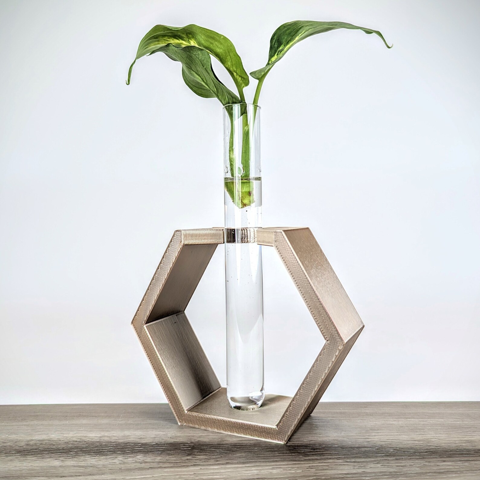 Hexagon Propagation Station in Bronze Chocolate Gold, Honeycomb Test ...