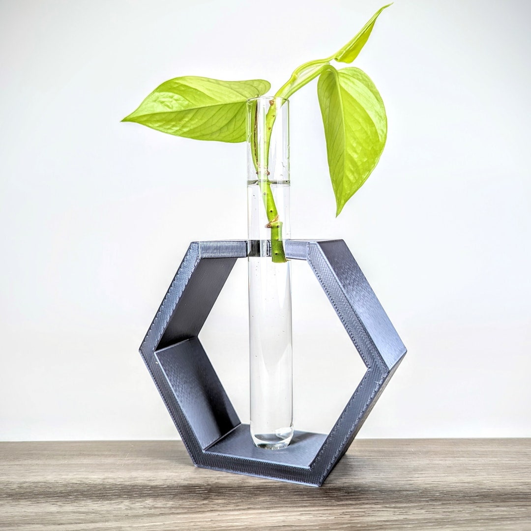 Hexagon Propagation Station in Dark Silk Gray, Honeycomb Test Tube ...
