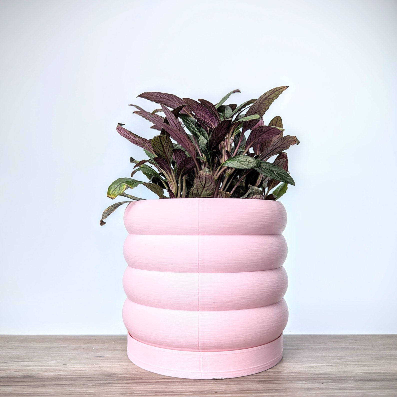 Light Pastel Pink Planter, Bubble Plant Pot With Drain Tray, Apartment ...
