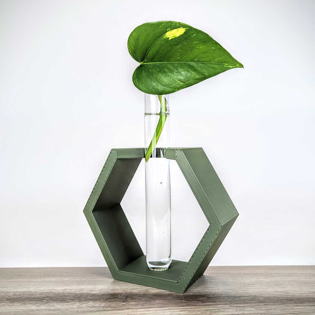 Hexagon Propagation Station in Dark Green Olive, Honeycomb Test Tube ...