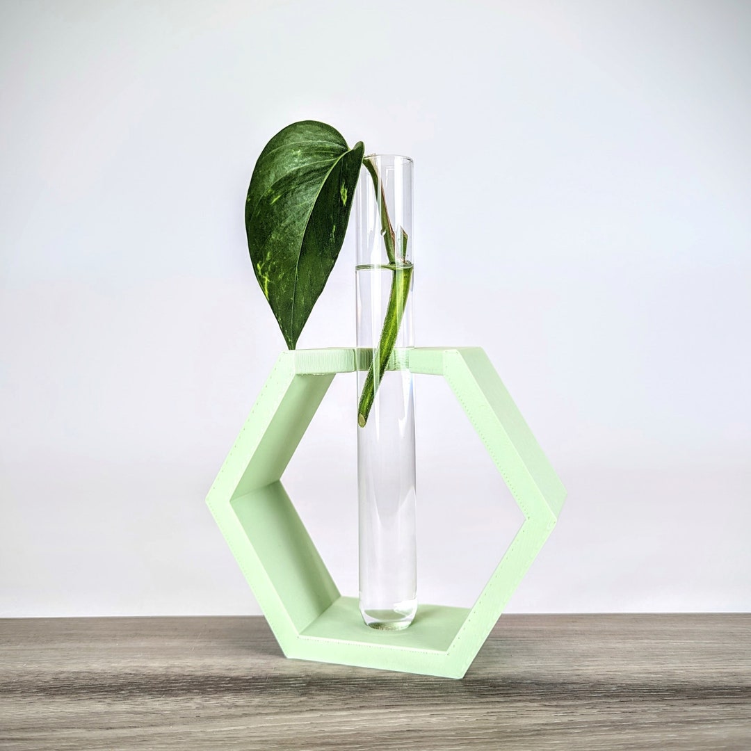 Hexagon Propagation Station in Light Pastel Green, Honeycomb Test Tube ...