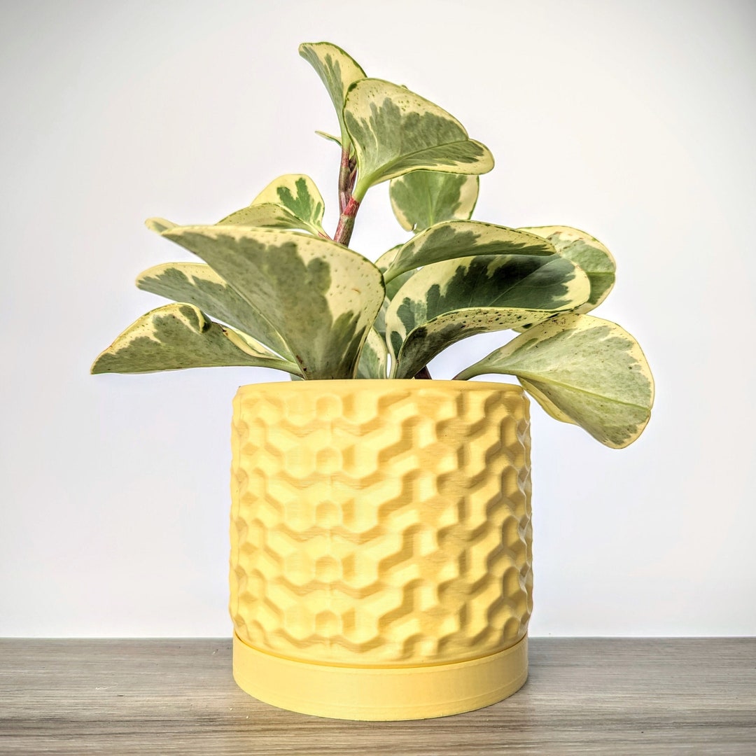 Light Pastel Yellow Planter, Geometric Plant Pot With Drain Tray ...