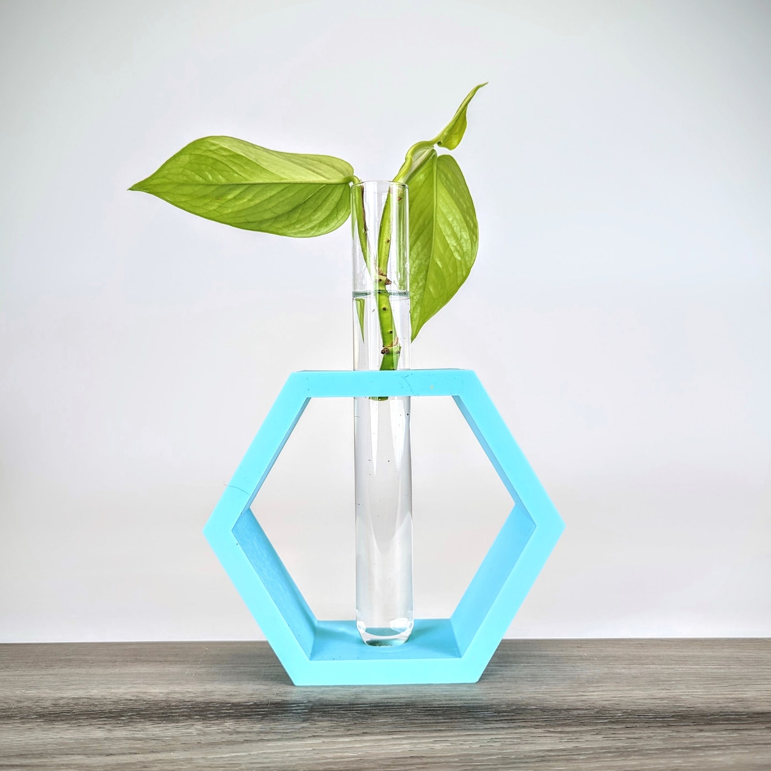 Hexagon Propagation Station in Light Mint Blue, Honeycomb Test Tube ...