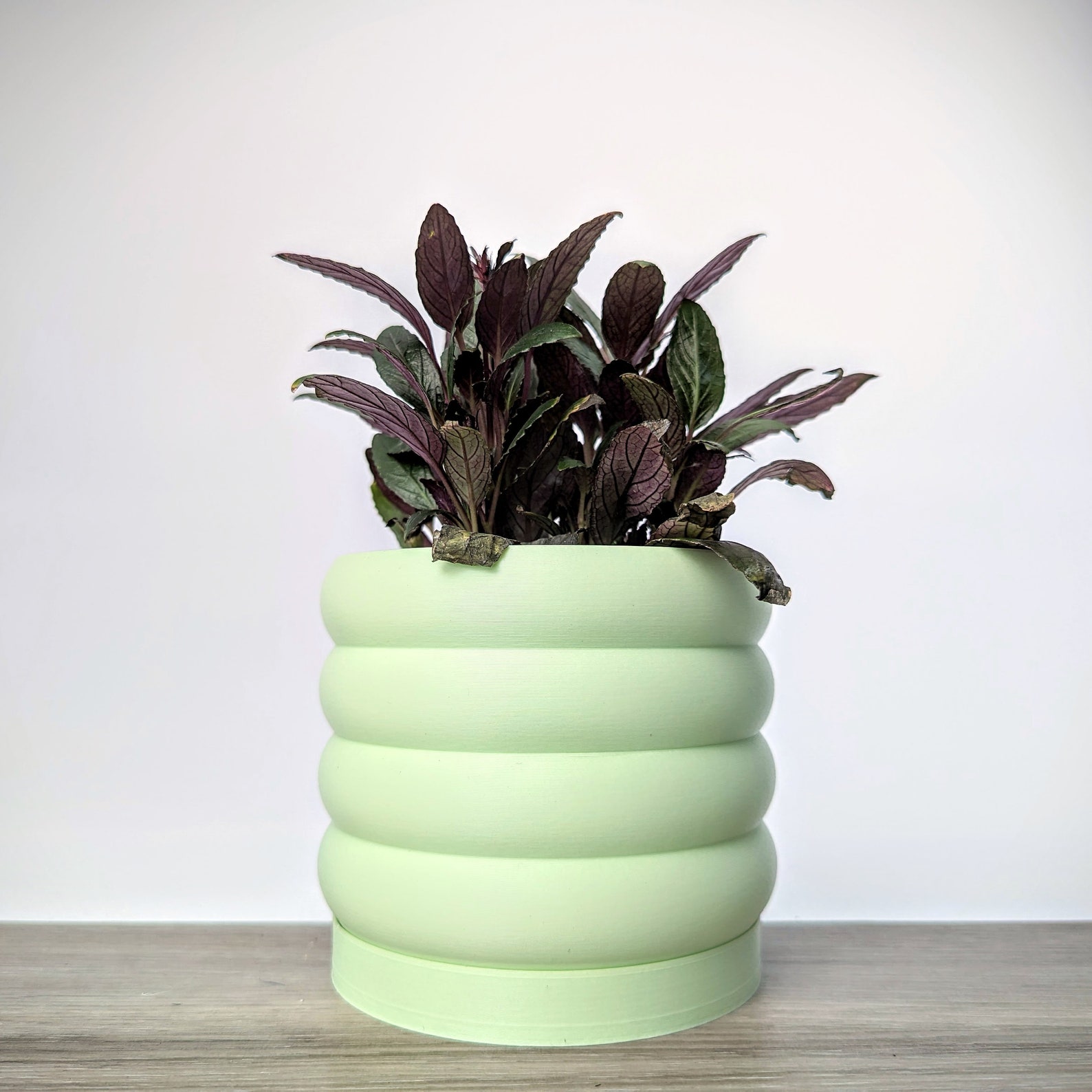 Light Pastel Green Planter Bubble Plant Pot With Drainage - Etsy