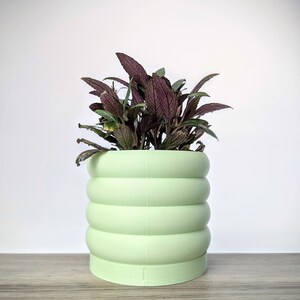 Light Pastel Green Planter, Bubble Plant Pot With Drainage, Apartment ...