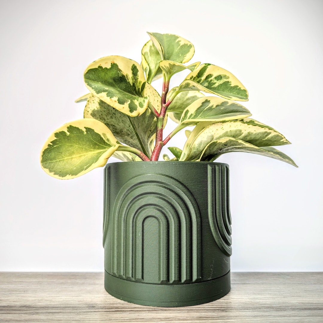 Dark Green Olive Planter, Rainbow Plant Pot With Drainage, Made From an ...