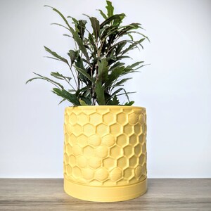 Light Pastel Yellow Pot, Honeycomb Planter With Drainage Tray, Made ...