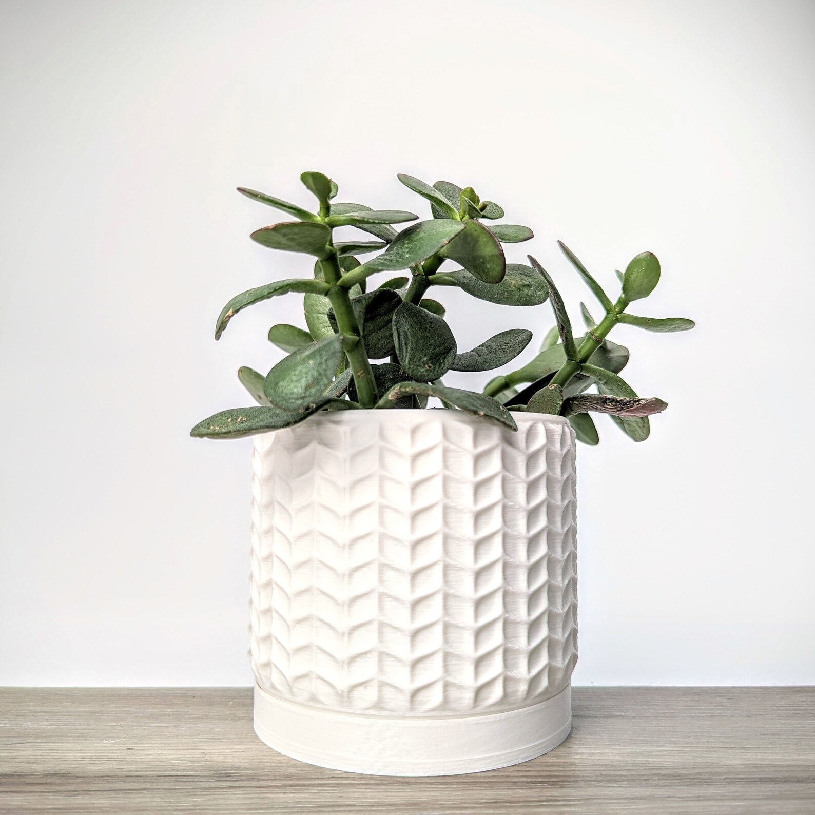 Matte White Planter, Modern Plant Pot With Drain Tray, Mix and Match ...