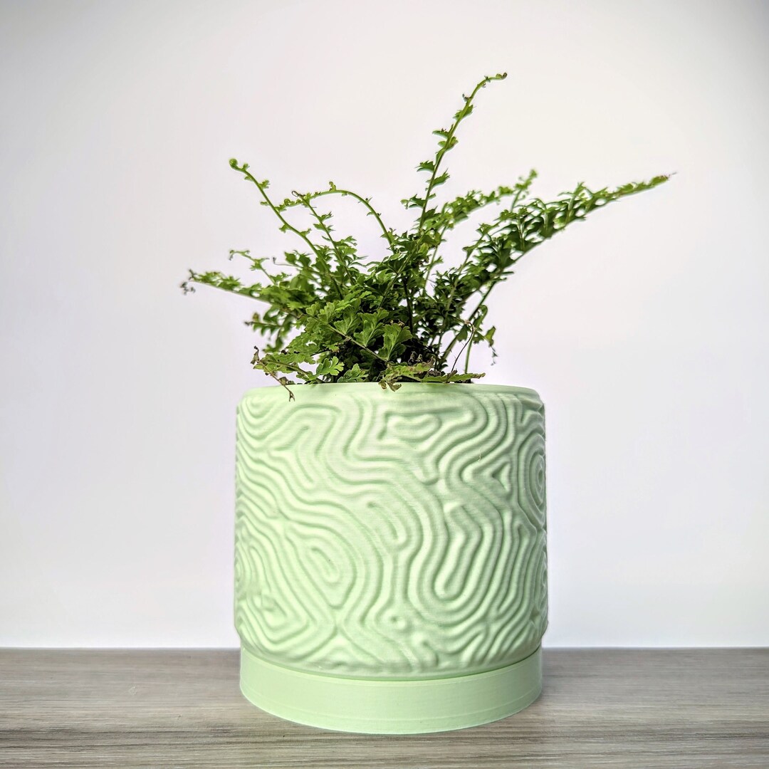 Light Pastel Green Pot, Coral Maze Planter With Drainage Tray, Made ...