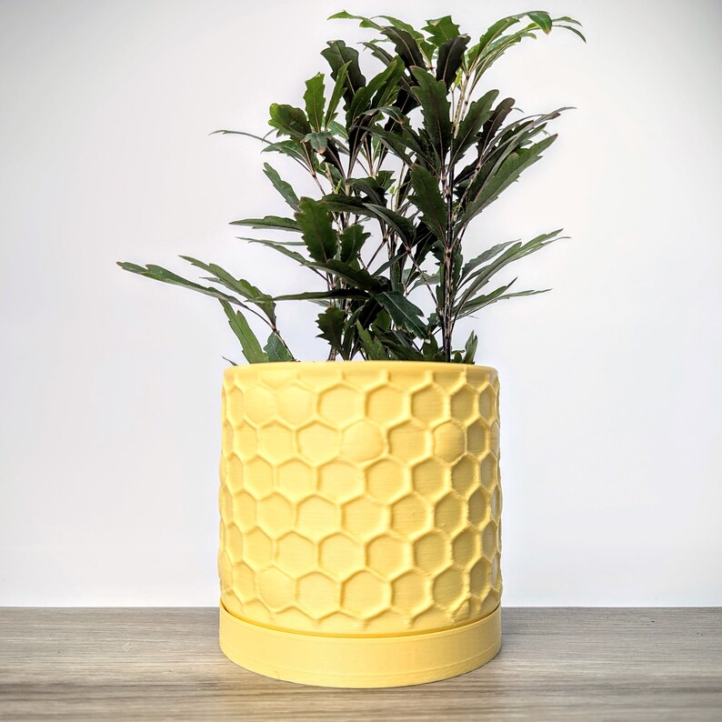 Light Pastel Yellow Pot Honeycomb Planter With Drainage Tray - Etsy
