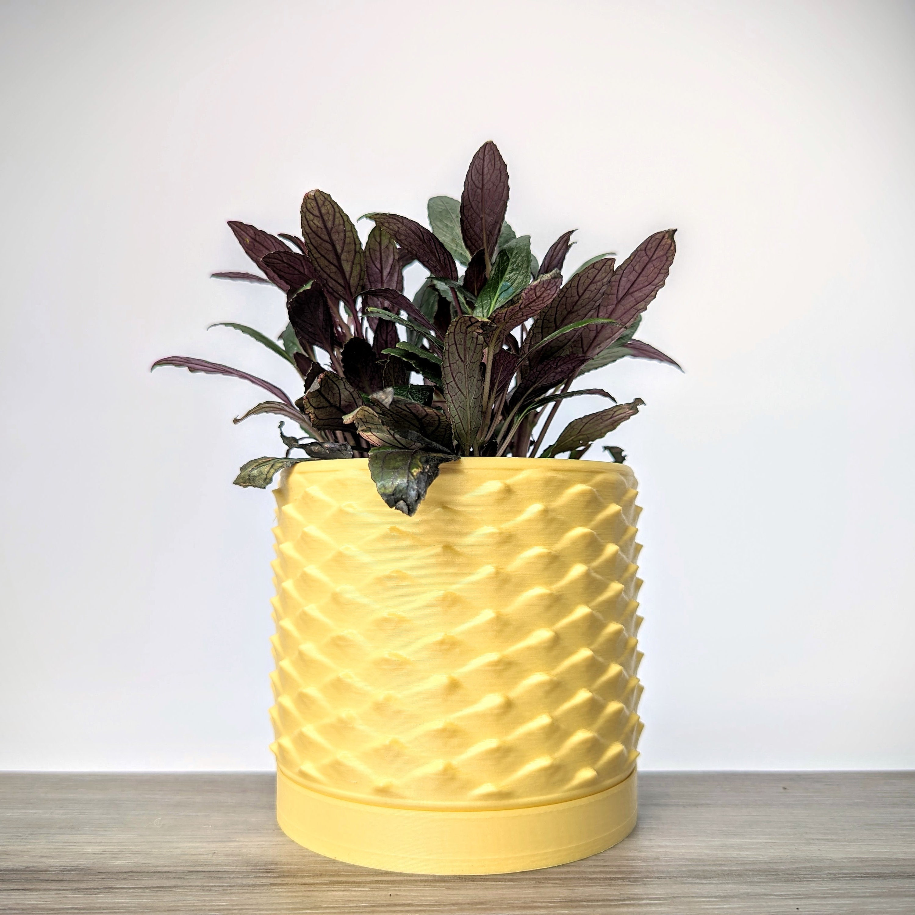 Light Pastel Yellow Pot, Dragon Scale Planter With Drainage Tray, Made ...