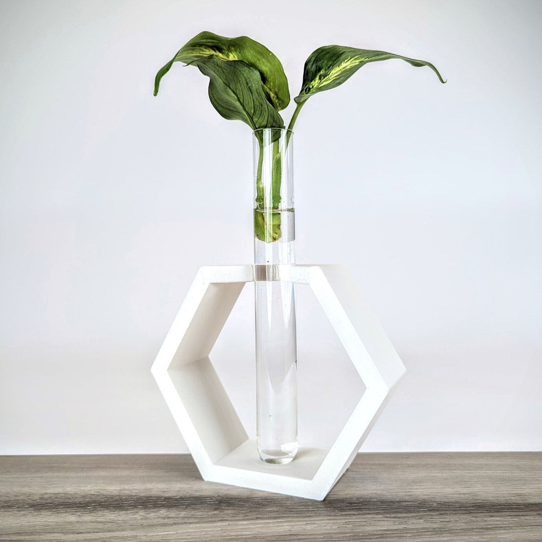 Hexagon Propagation Station in Matte White, Honeycomb Test Tube Planter ...