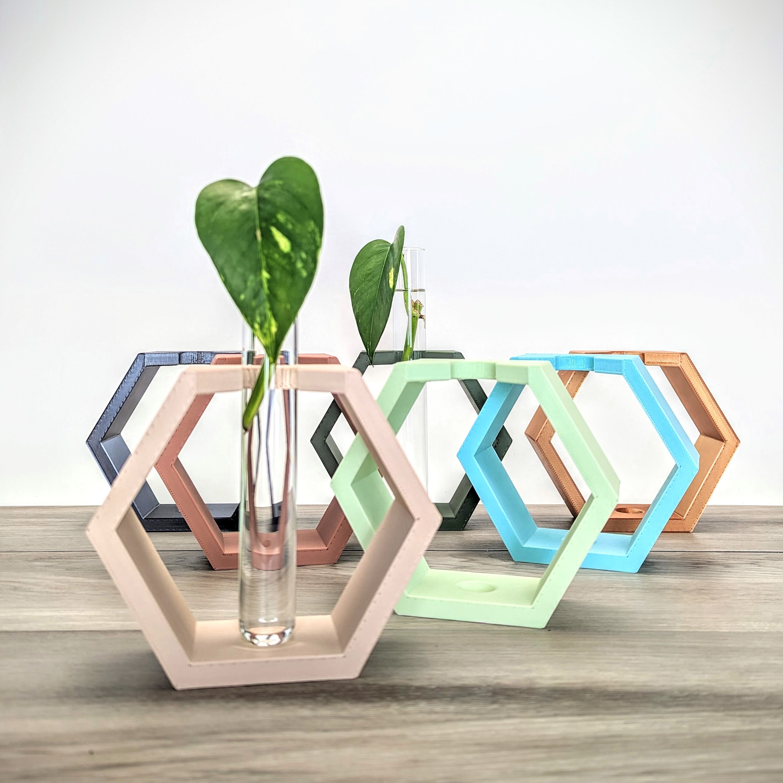 Hexagon Propagation Station in Light Mint Blue, Honeycomb Test Tube ...