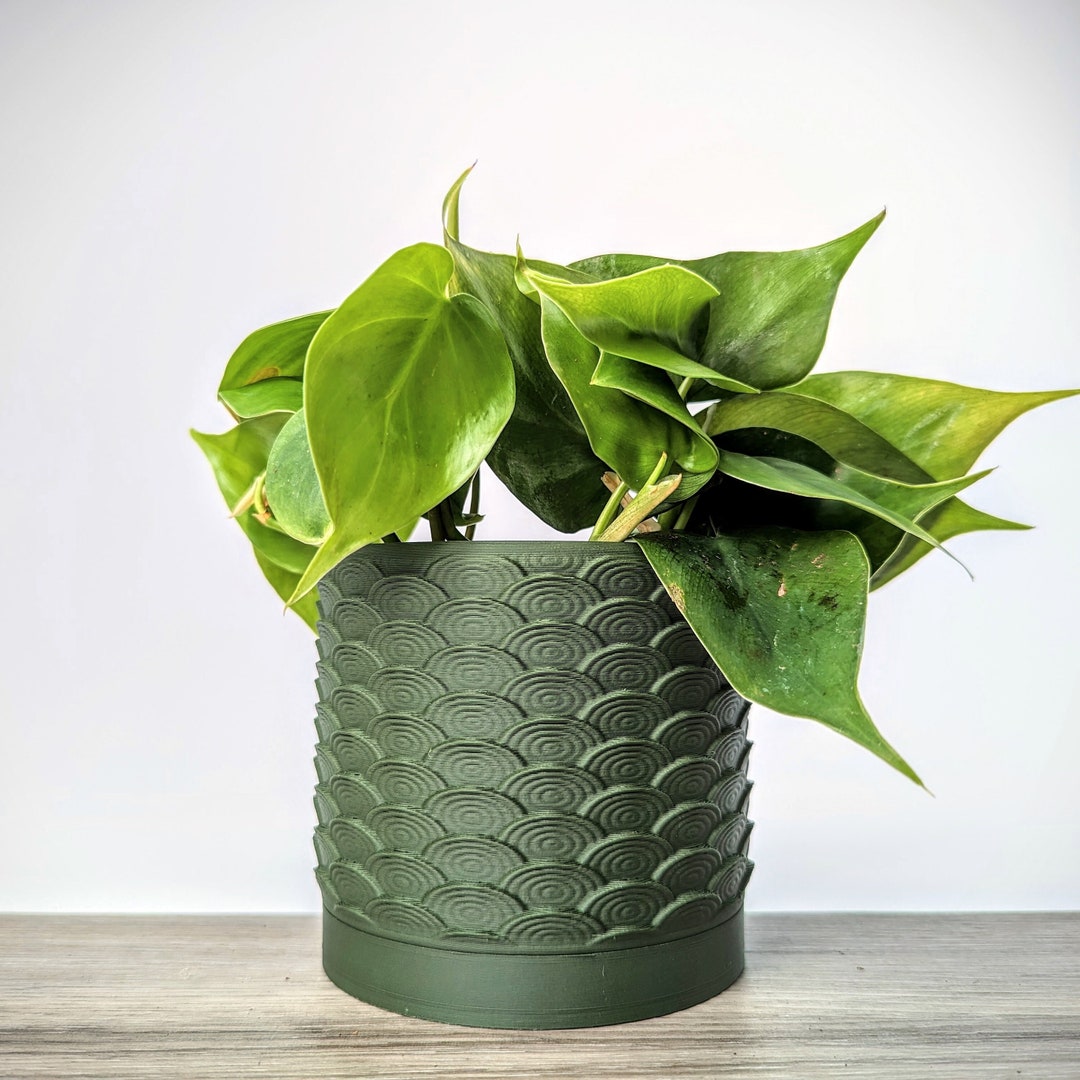 Dark Green Olive Pot, Clouds Pattern Planter With Drainage Tray, Made ...