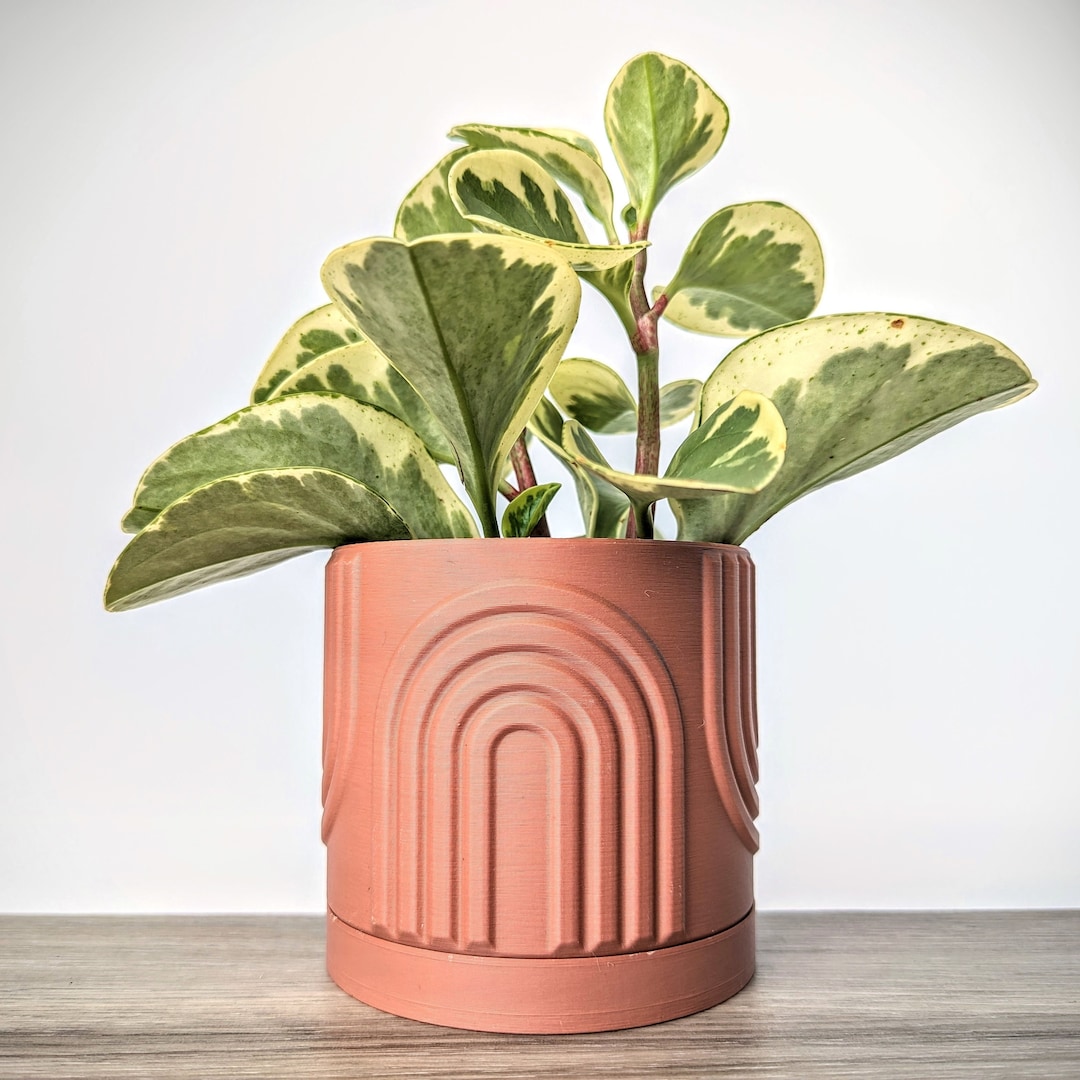 Terracotta Red Plant Pot, Rainbow Planter With Drainage Tray, Made From ...