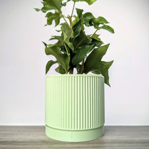 Light Pastel Green Plant Pot, Fin Planter With Drain Tray, Colorful ...