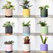 Light Pastel Pink Pot, Rainbow Planter With Drain Tray, Mix and Match ...