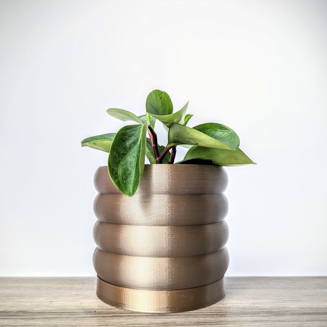 Bronze Chocolate Gold Plante, Bubble Plant Pot With Drainage, Made From ...