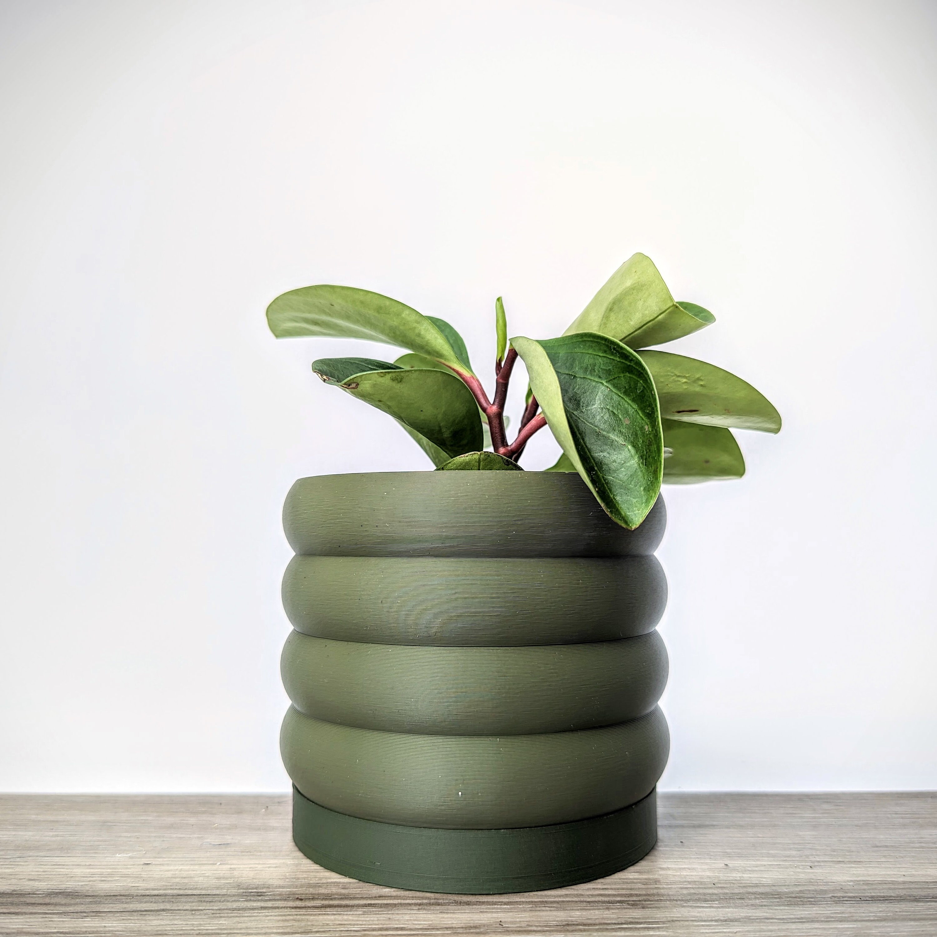 Dark Green Olive Planter Bubble Plant Pot With Drainage - Etsy