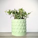 Light Pastel Green Pot, Heart Pattern Planter With Drainage, Made From ...