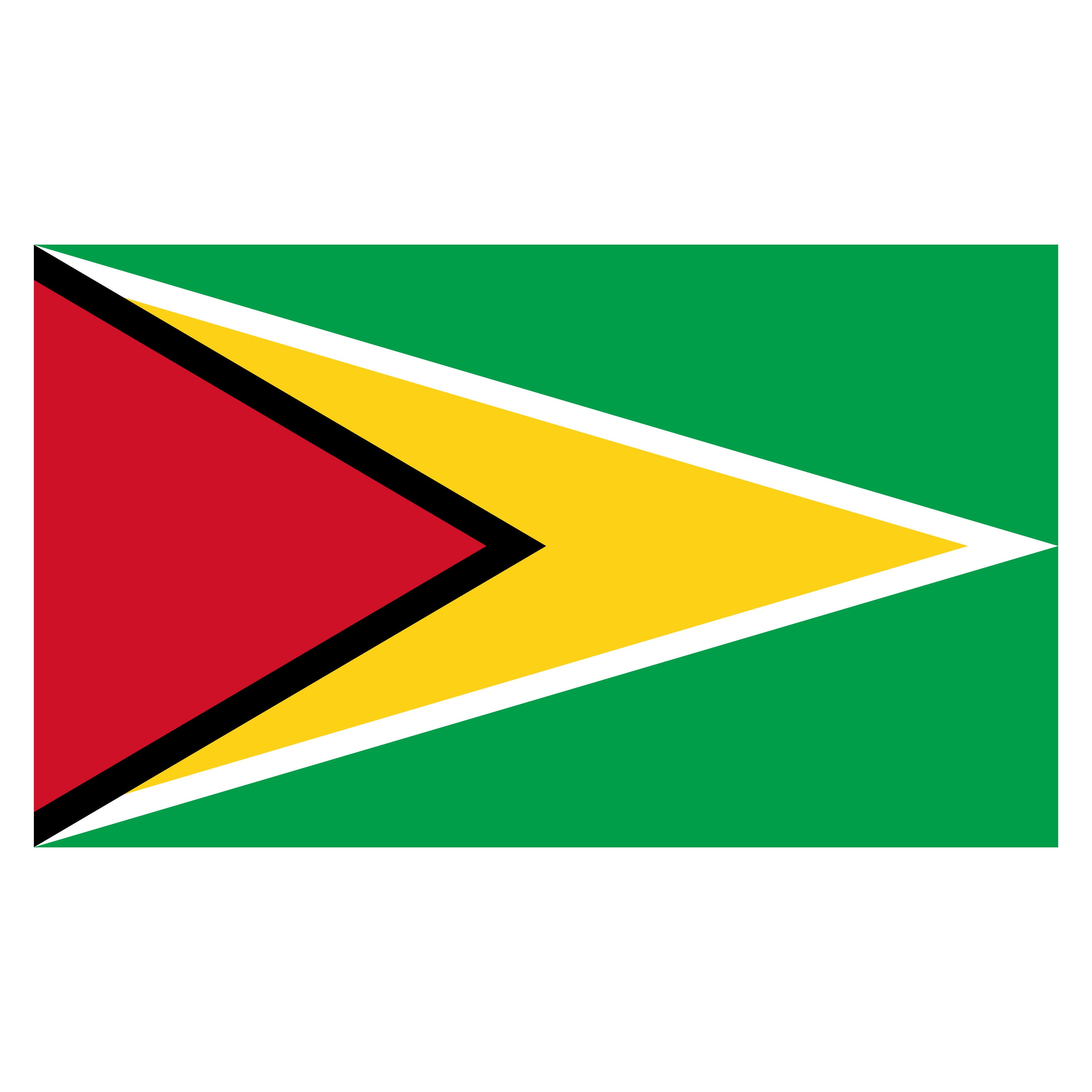 Guyana Flag SVG Png Dxfepsbundleflags Svglove Flags - Etsy