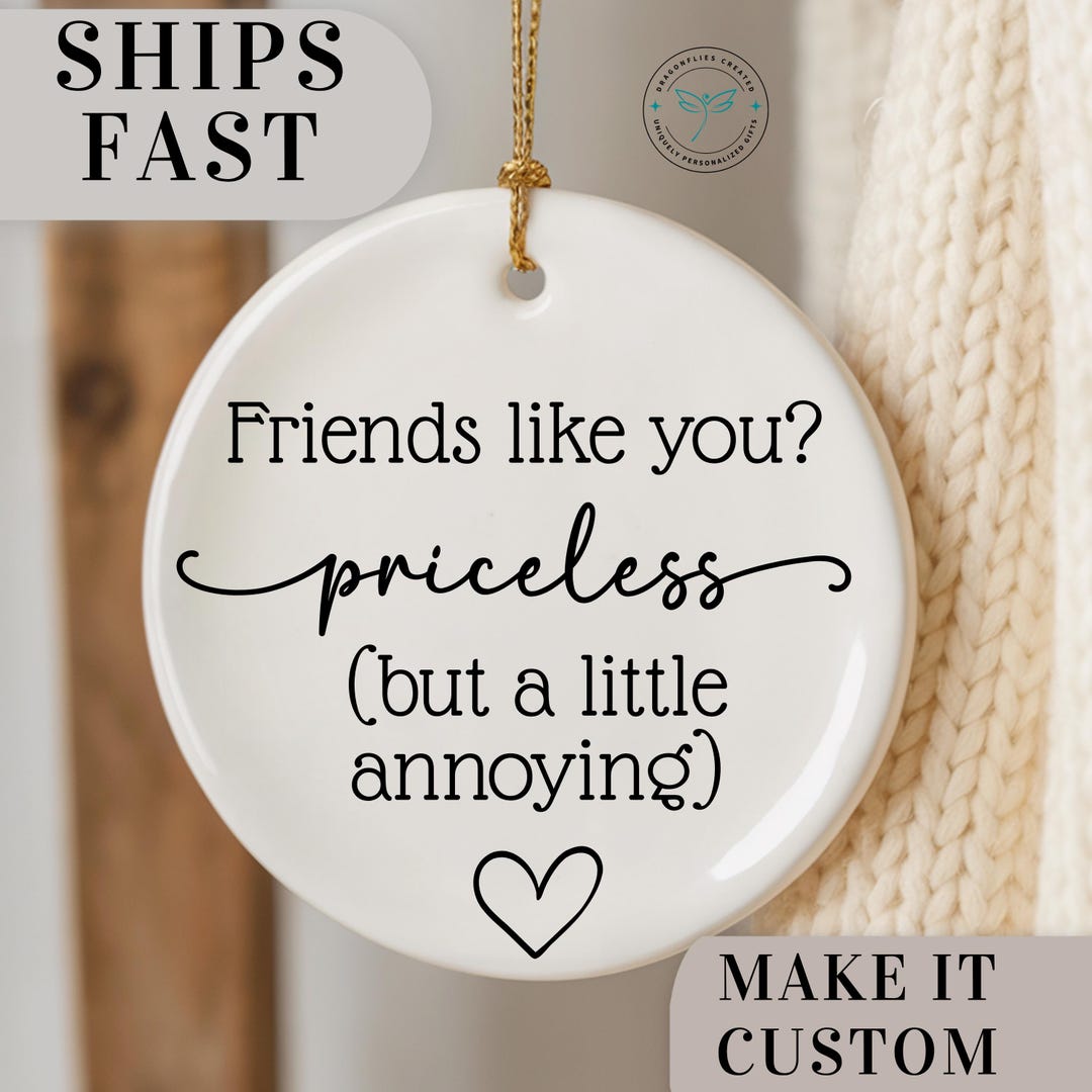 Friends Like You Priceless Ceramic Ornament, Funny Friendship Quote ...