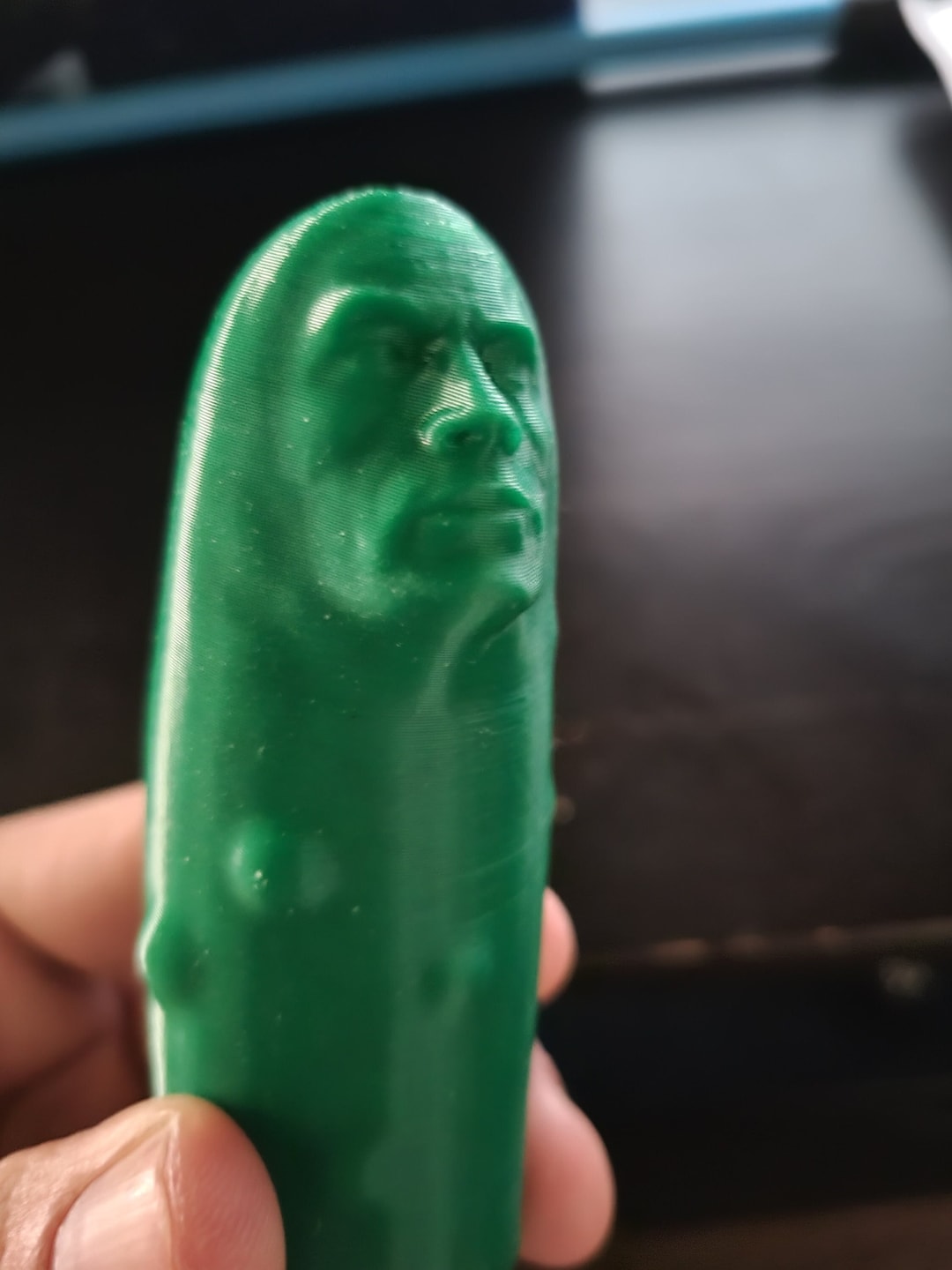 Pickle Rock- 3d Printed - Etsy