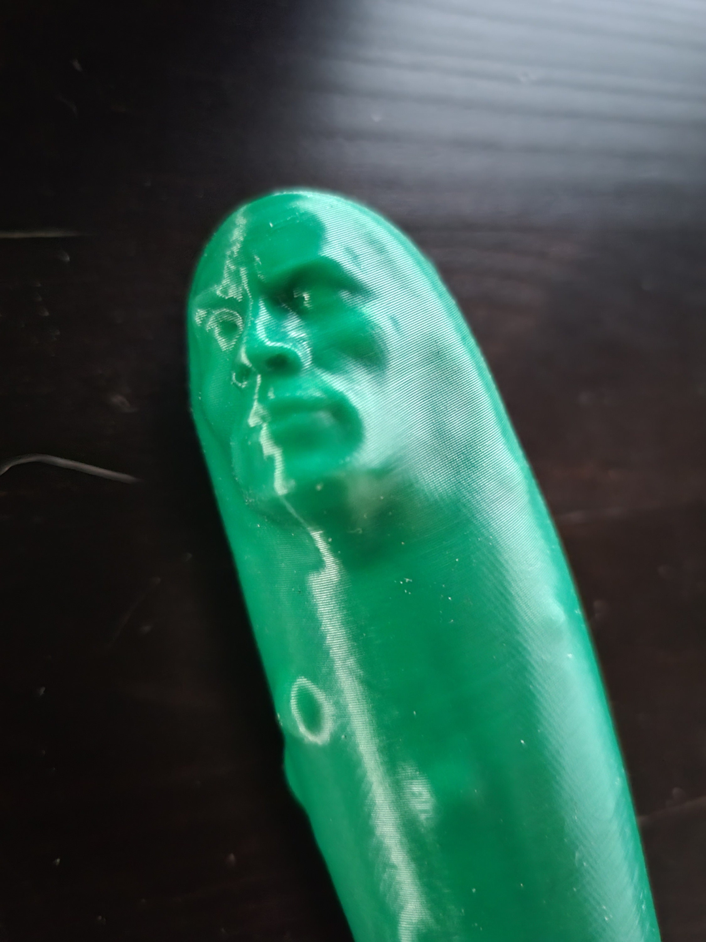 Pickle Rock- 3d Printed - Etsy