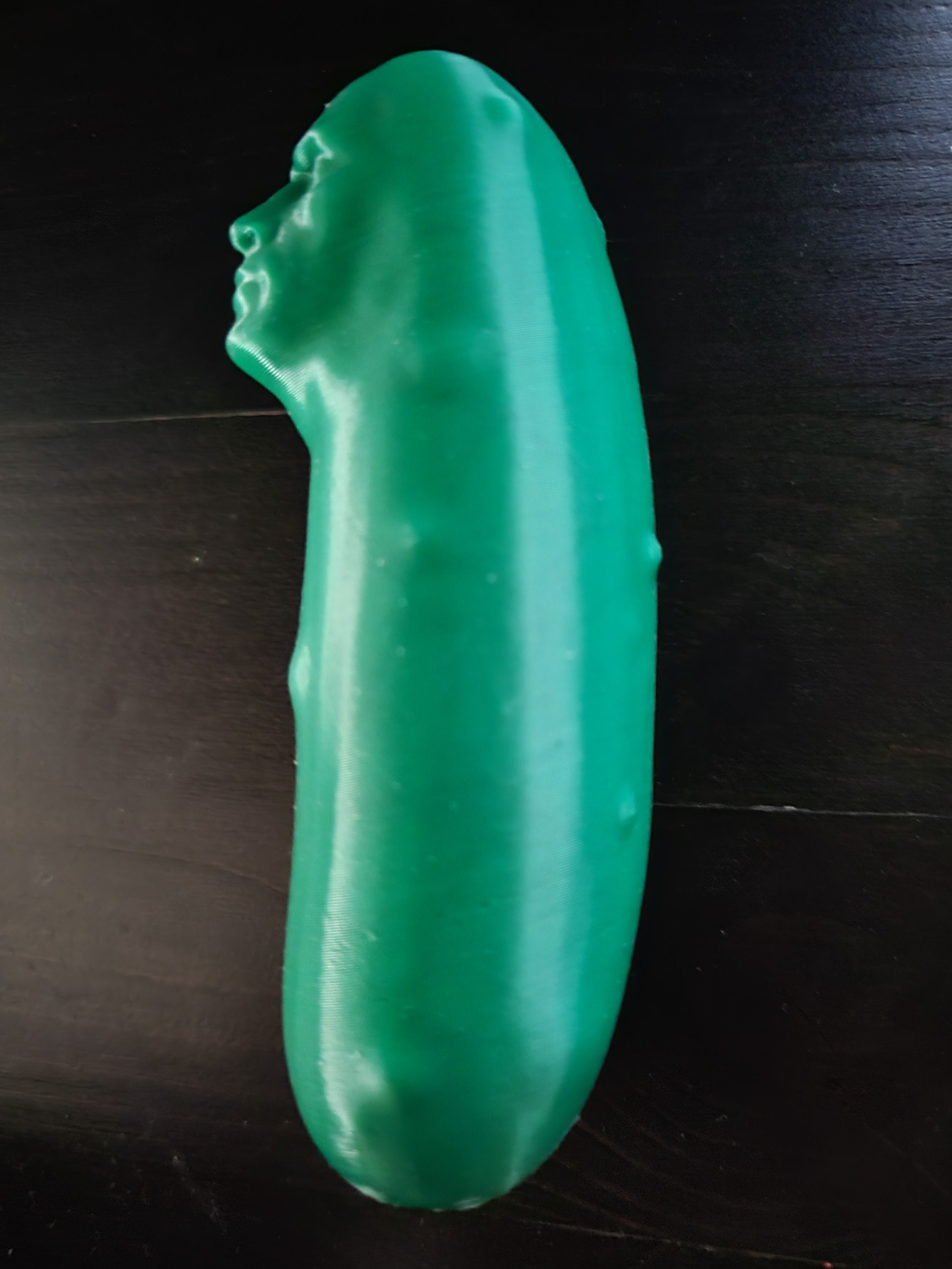 Pickle Rock- 3d Printed - Etsy