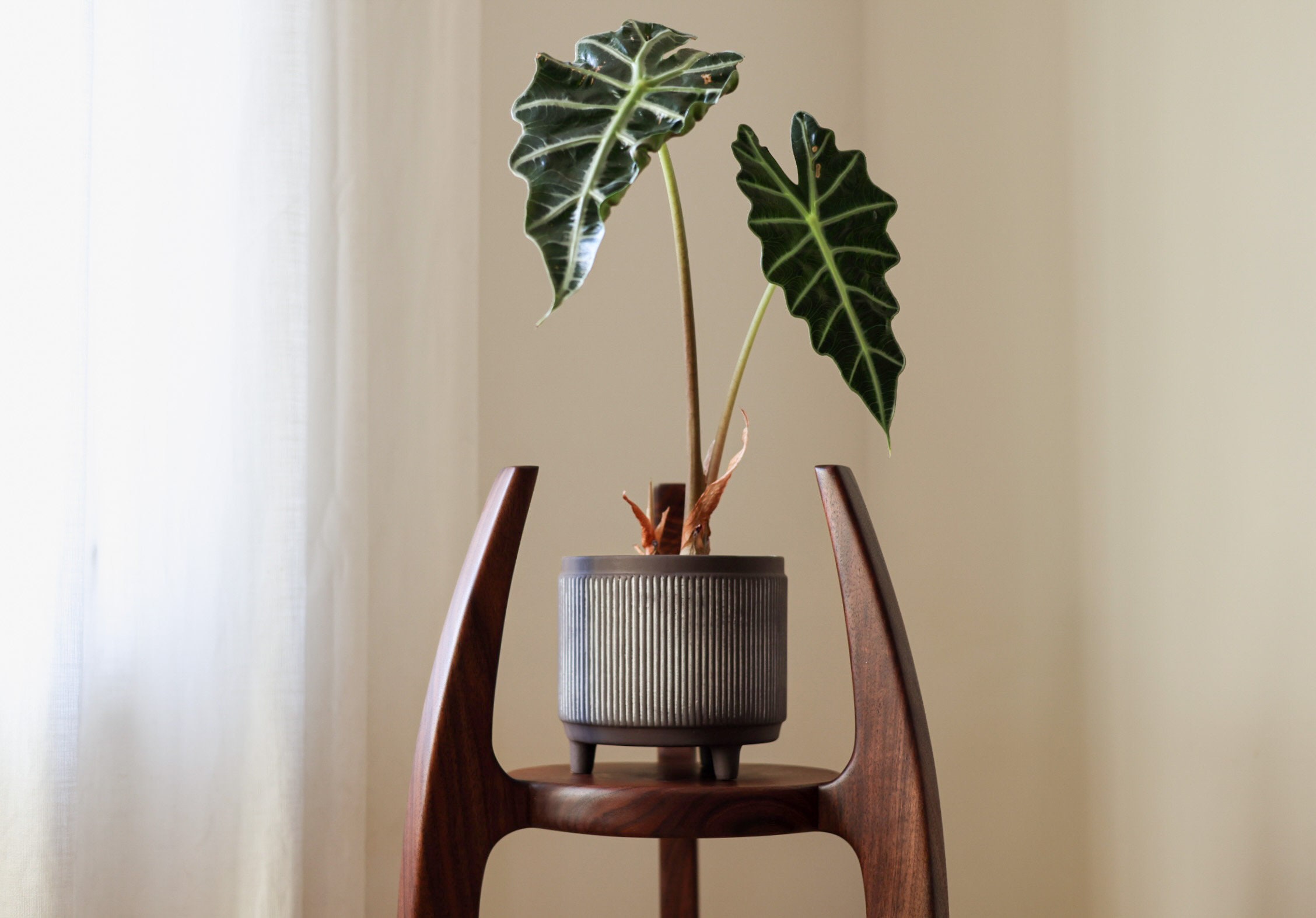 Handmade Walnut Wood Plant Stand: Mid-century Modern Style - Etsy