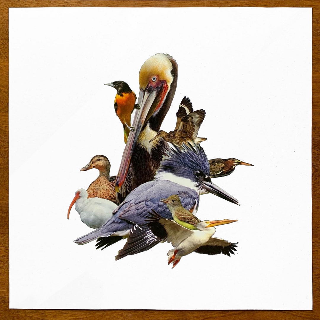 Bird Art Hand Made Collage Art Decor Square Artwork 12x12 river - Etsy