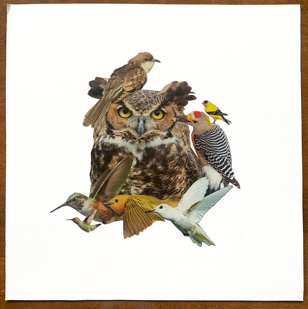 Bird Art Hand Made Collage Art Decor Square Artwork 12x12 onward - Etsy
