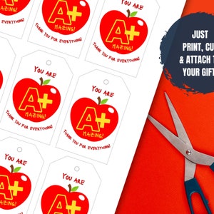 Teacher Gift Tags Set of 4, Funny End of School Year Appreciation Gift ...