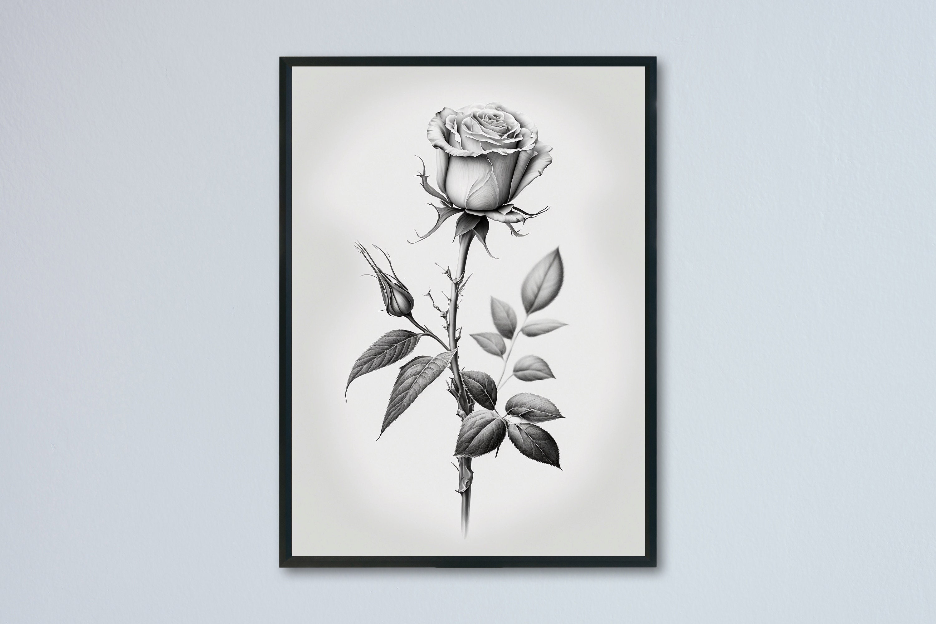 White Rose With Stem Drawing