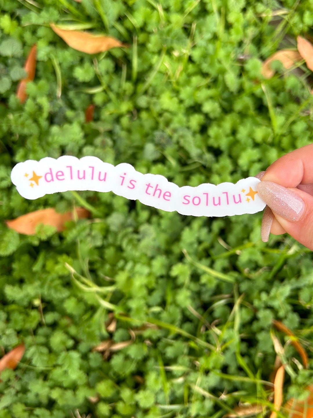 Delulu is the Solulu Sticker, Cute, Funny, Meme, Mental Health Sticker ...