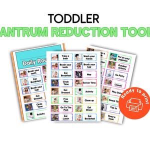Customizable Toddler Visual Schedule | Printable Routine Chart | Daily ...