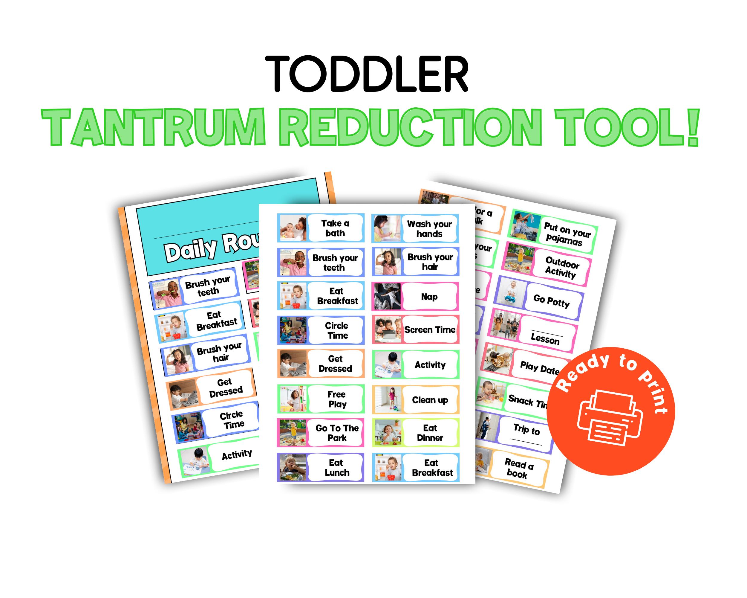 Customizable Toddler Visual Schedule | Printable Routine Chart | Daily ...
