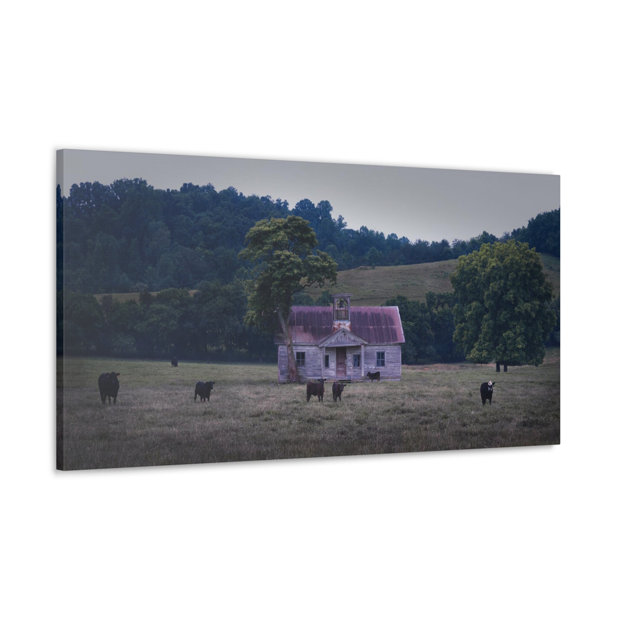 Cattle Farm With Cows & Rustic Barn, Cow Canvas Print Wall Decor, Cow ...