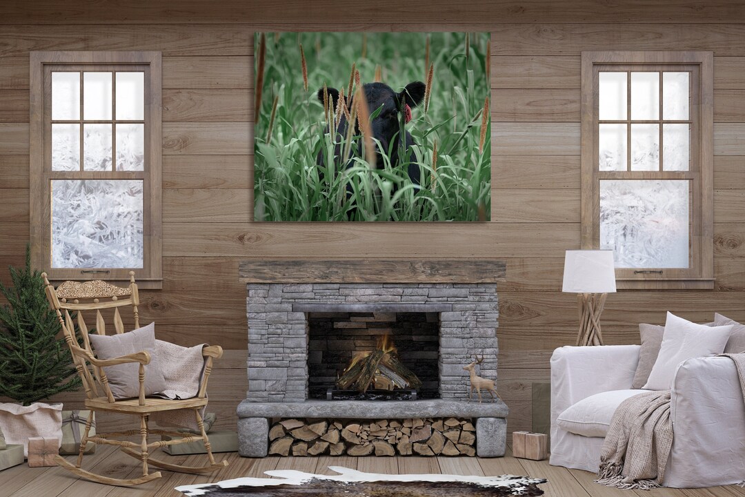 Curious Black Cow Hiding in Tall Green Grass, Cow Canvas Print Wall ...