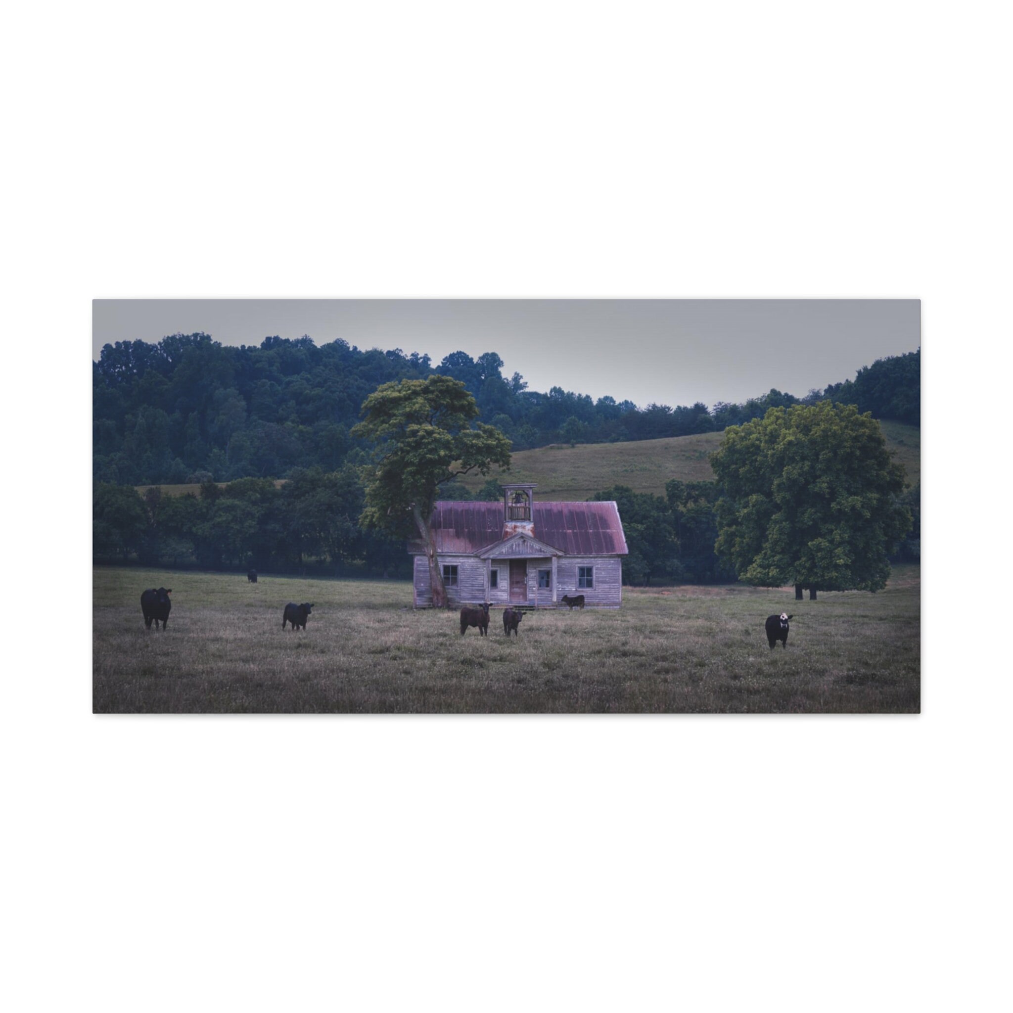 Cattle Farm With Cows & Rustic Barn, Cow Canvas Print Wall Decor, Cow ...