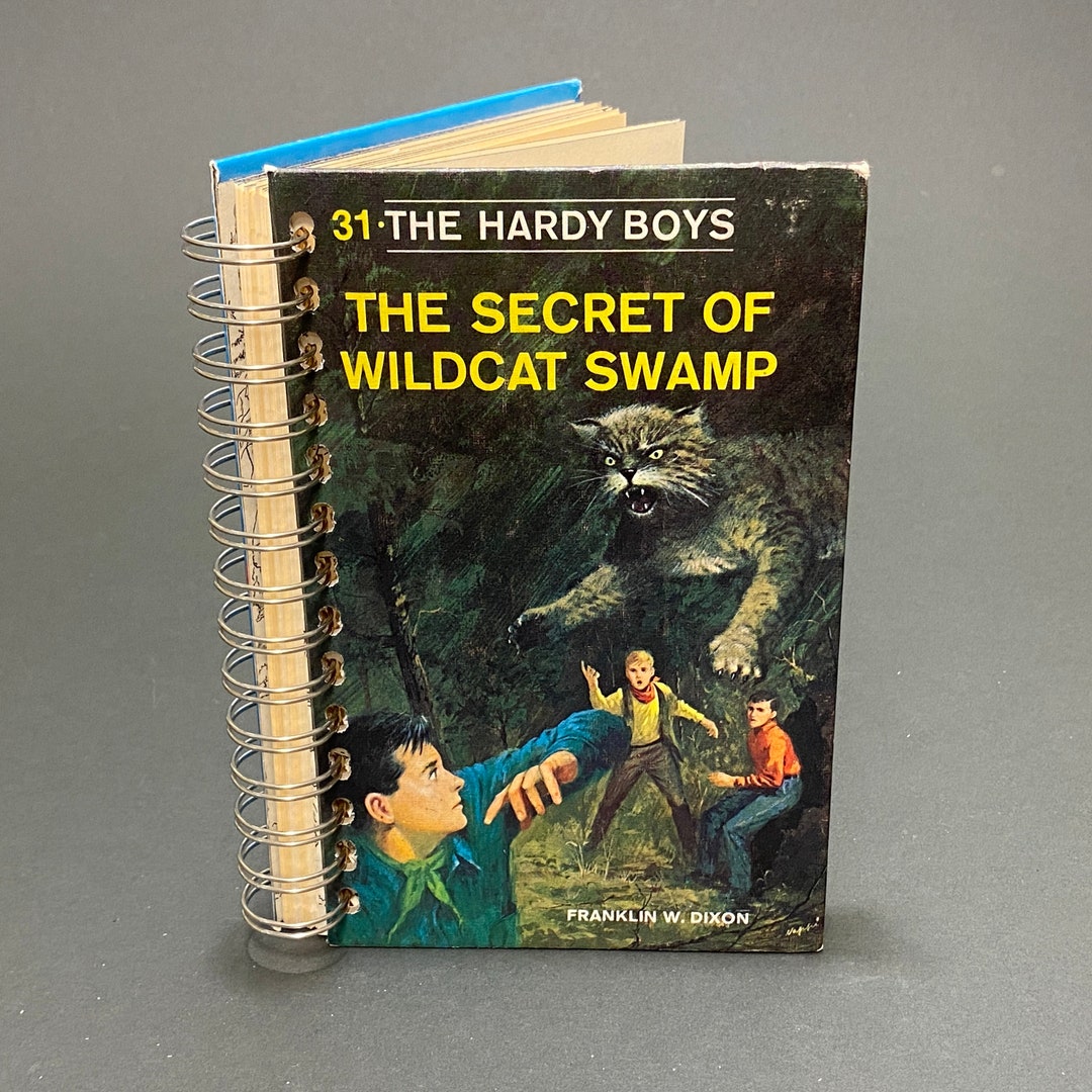 Hardy Boys Secret Wildcat Swamp Vintage Book Journal and Matching ...
