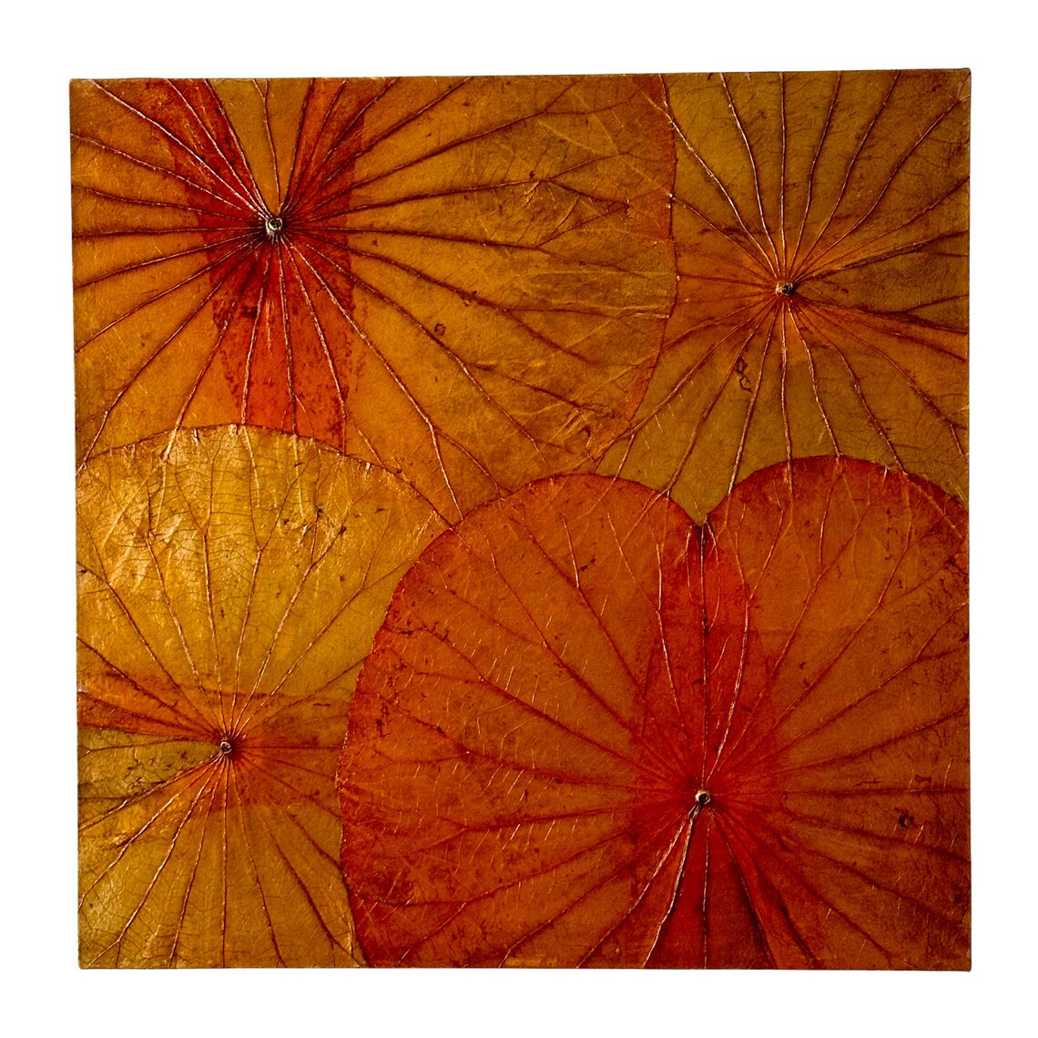 Rayong Orange - Wall Art - Real Lotus Flowers - Unique Artwork - Lotus ...