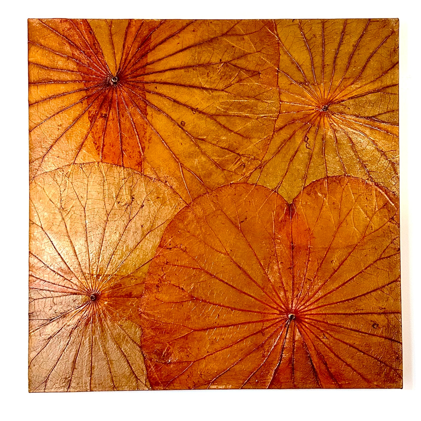 Rayong Orange - Wall Art - Real Lotus Flowers - Unique Artwork - Lotus ...