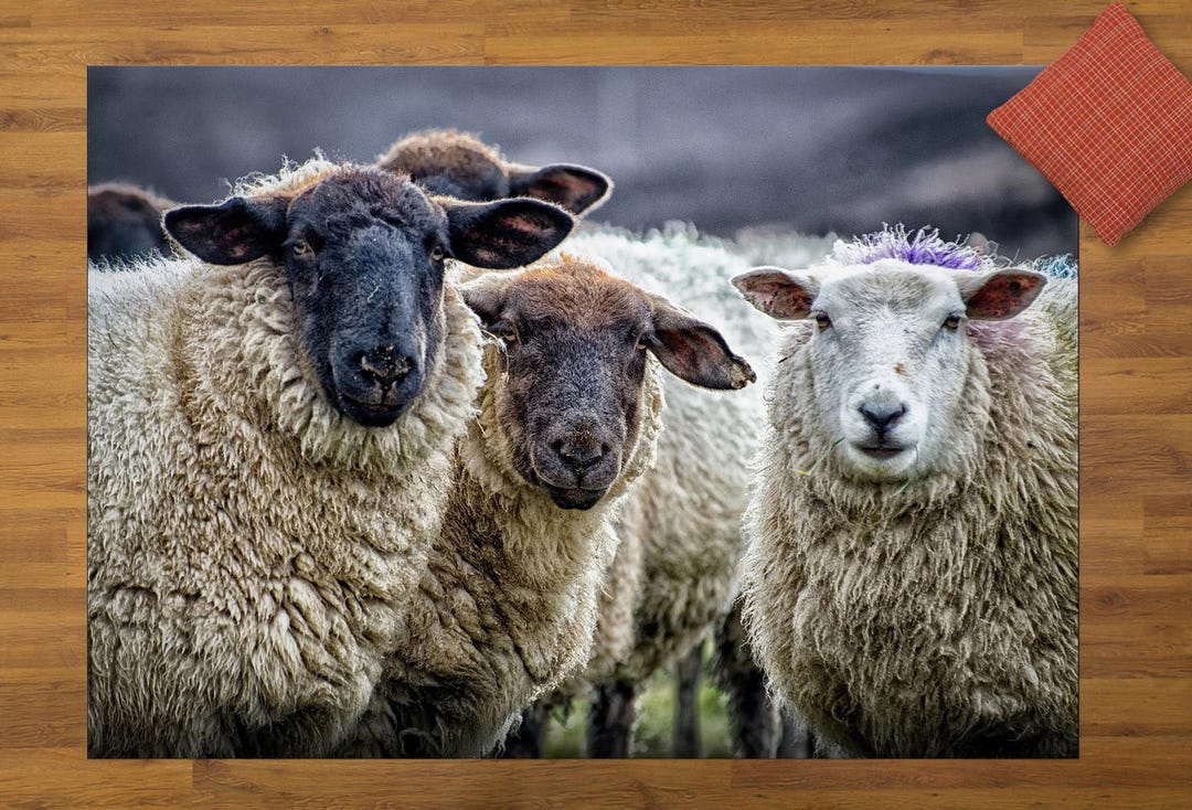 Scandinavian Sheep Rugs, Farmhouse Rugs, Farm Rug, Animal Rug, Machine ...