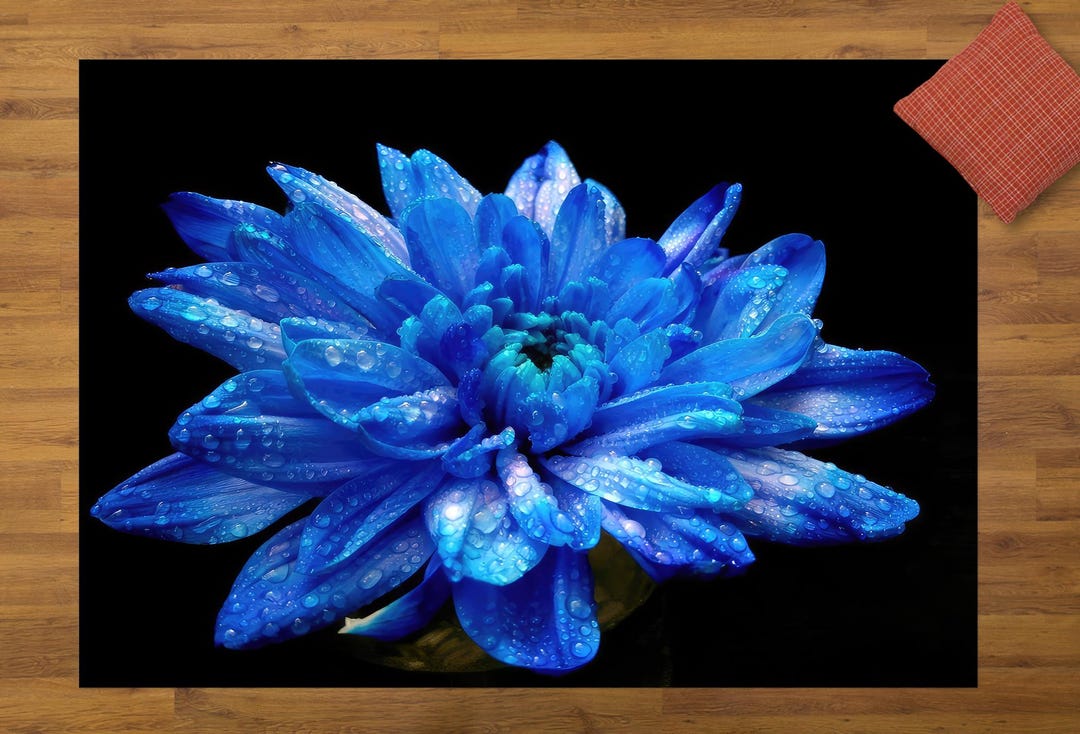 Nice Blue Flower Rug, Blue Rugs, Modern Rugs, Floral Rug, Wedding Rug ...