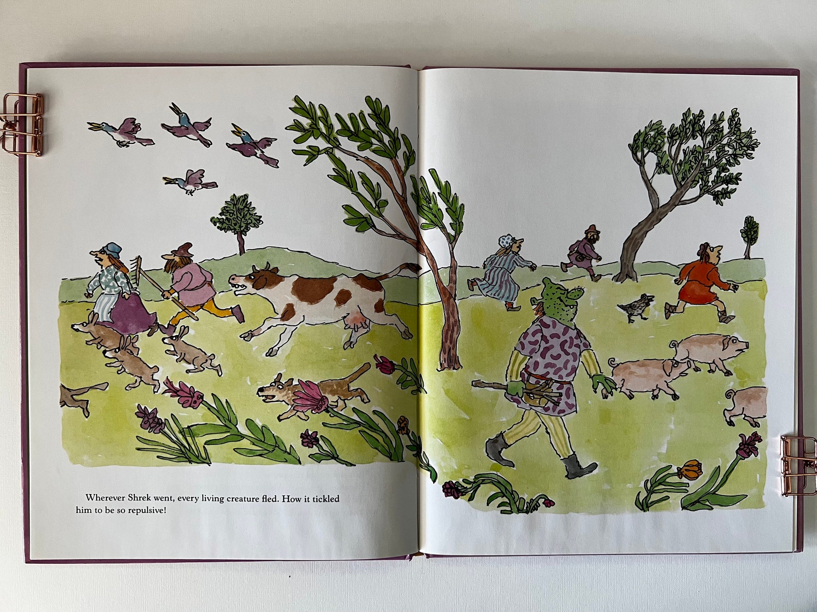 Shrek! by William Steig 1990 Published by Farrar, Straus and Giroux ...